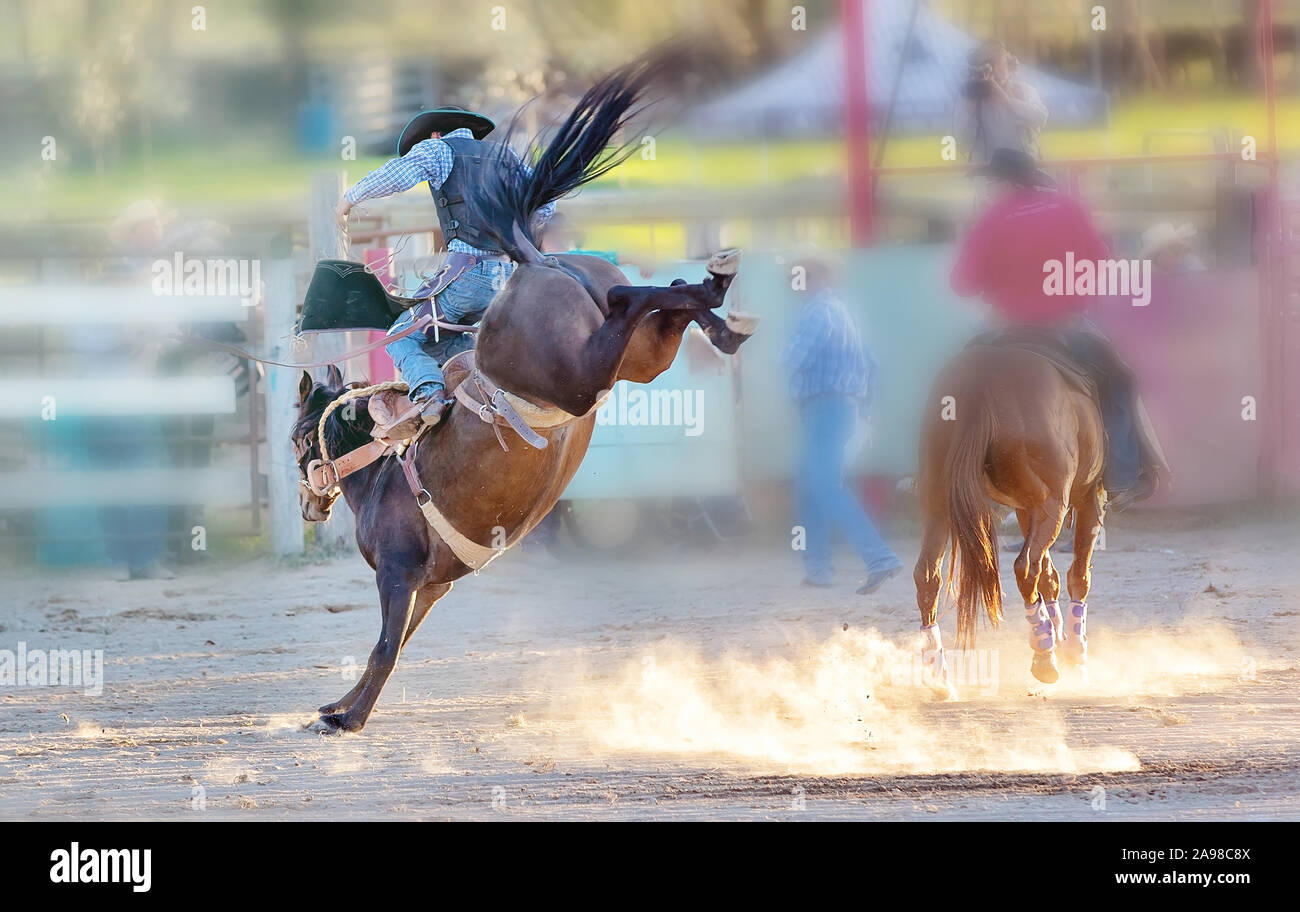 Bucking bronc horse riding competition entertainment at country rodeo ...