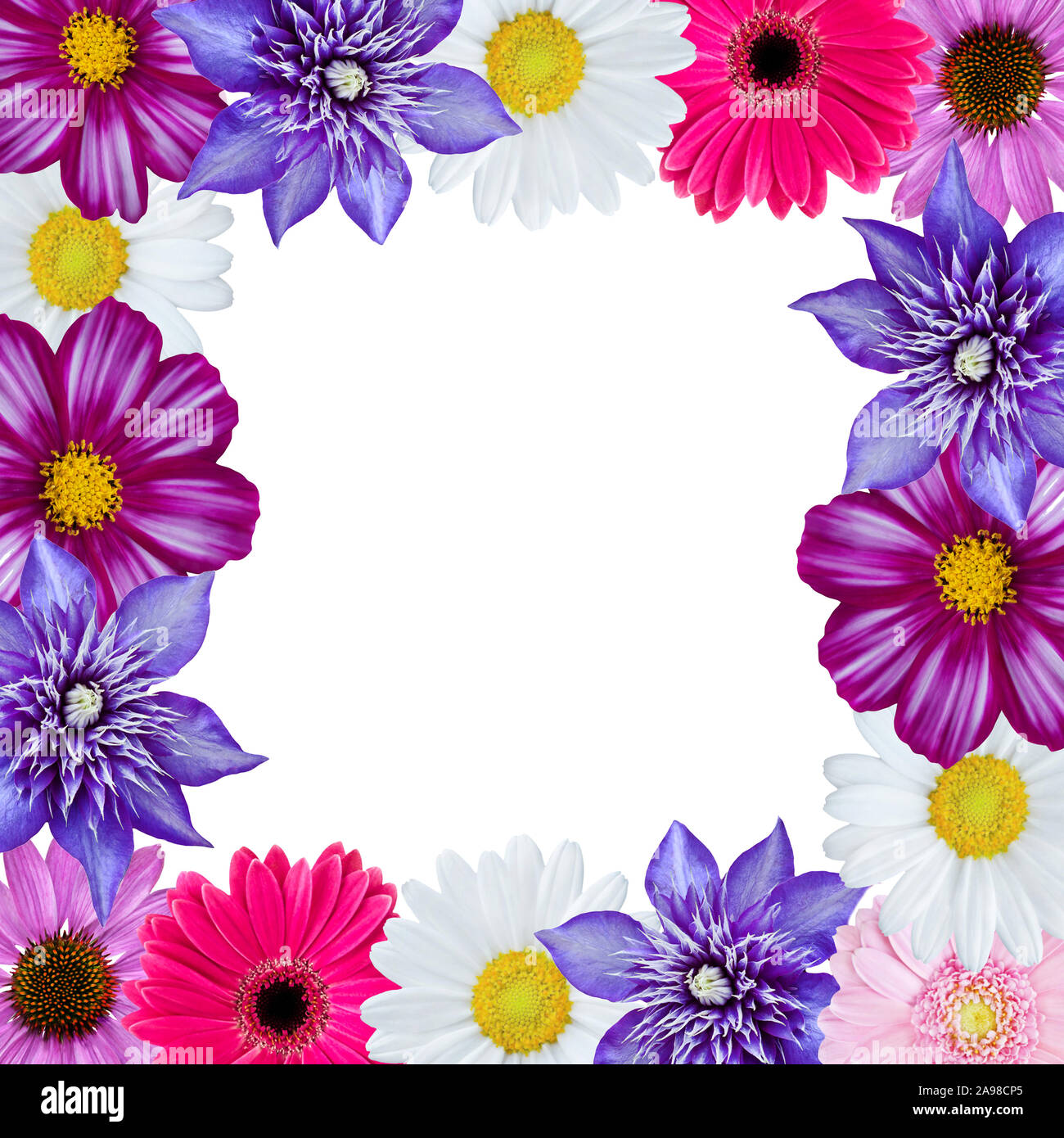 Floral frame of flowers and white background Stock Photo - Alamy