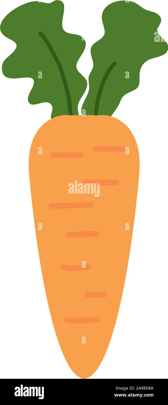 carrot design, Vegetable organic food healthy fresh natural and market ...