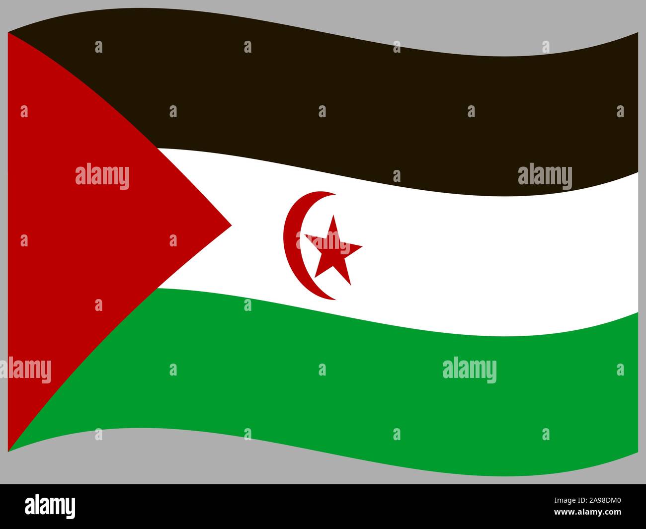 Beautiful national flag of Sahrawi Arab Democratic Republic. Simply ...