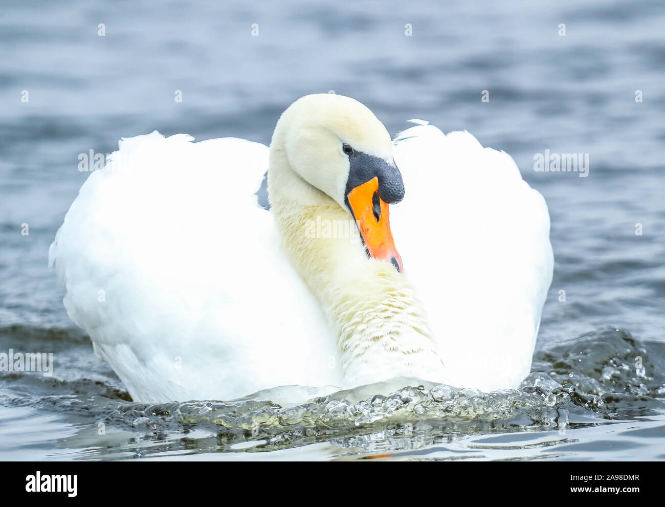 Portmore Lough Northern Ireland Stock Photo - Alamy