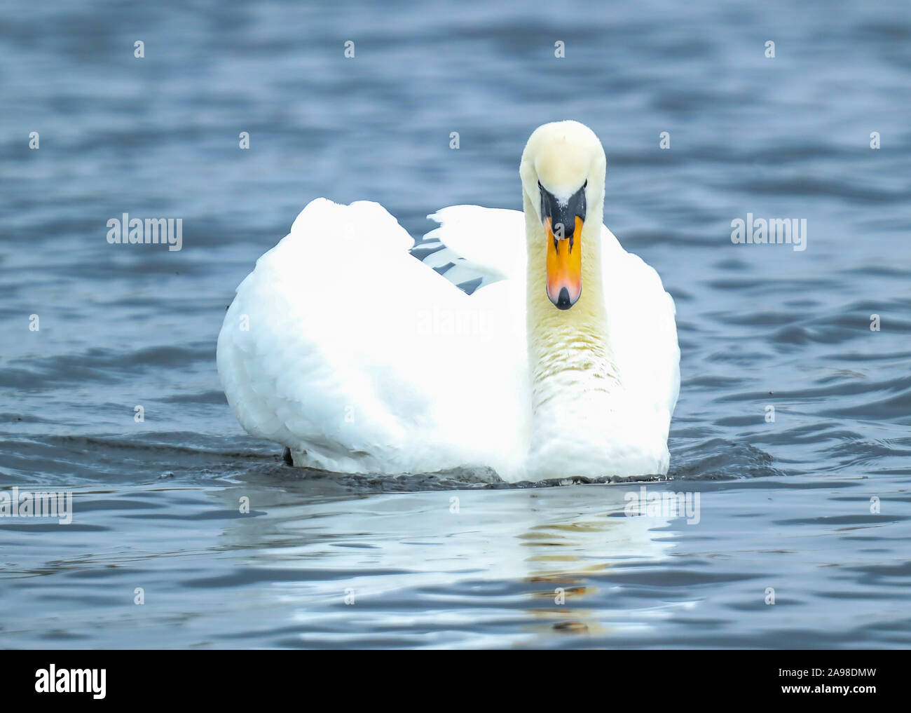 Portmore Lough Northern Ireland Stock Photo - Alamy