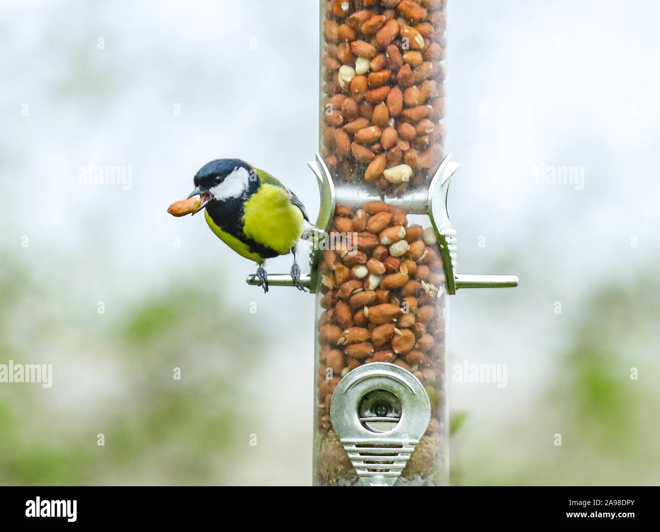 Portmore Lough Northern Ireland Stock Photo - Alamy