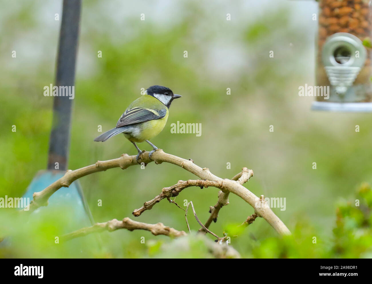 Portmore ireland hi-res stock photography and images - Alamy