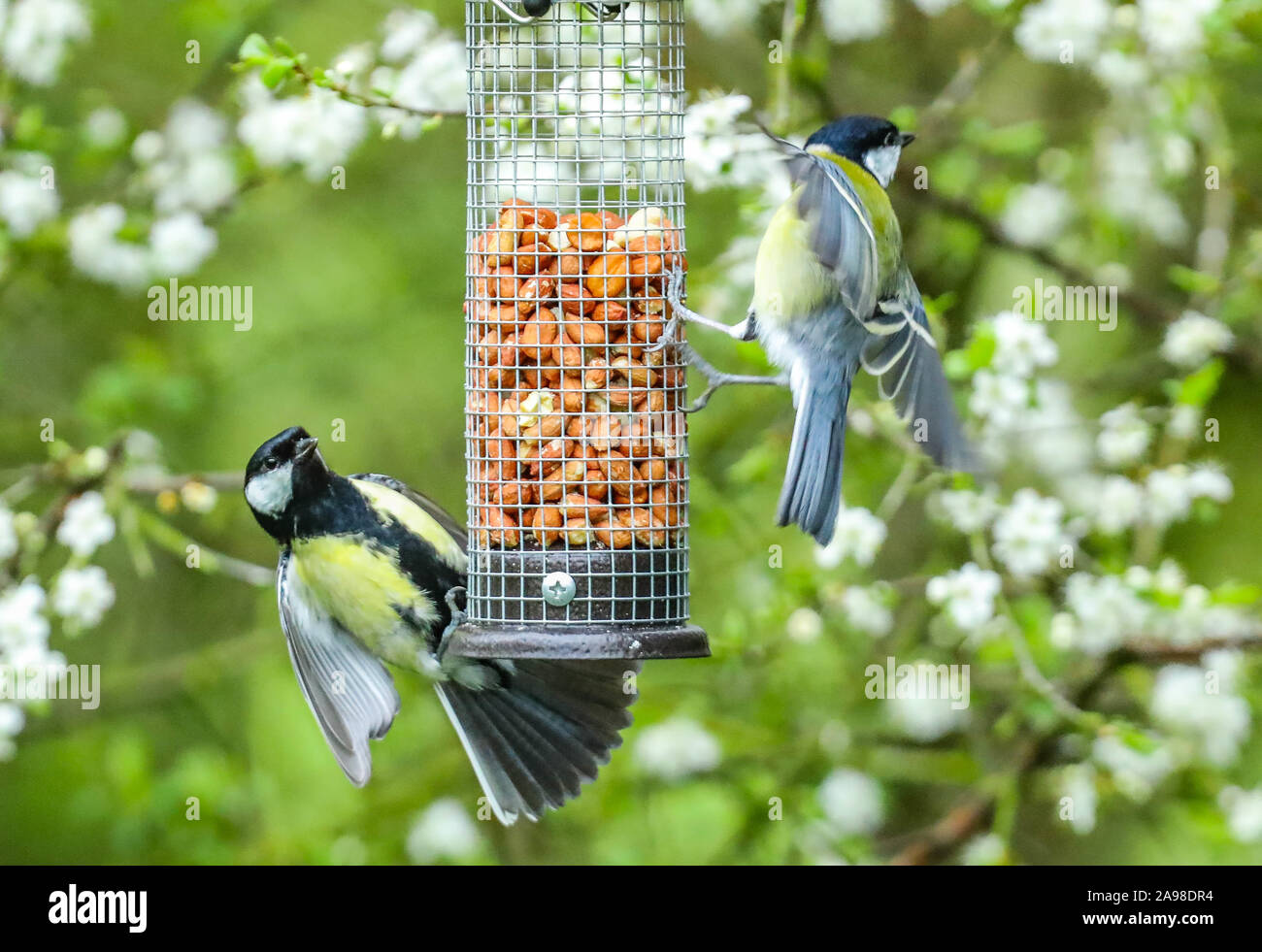 Portmore hi-res stock photography and images - Alamy