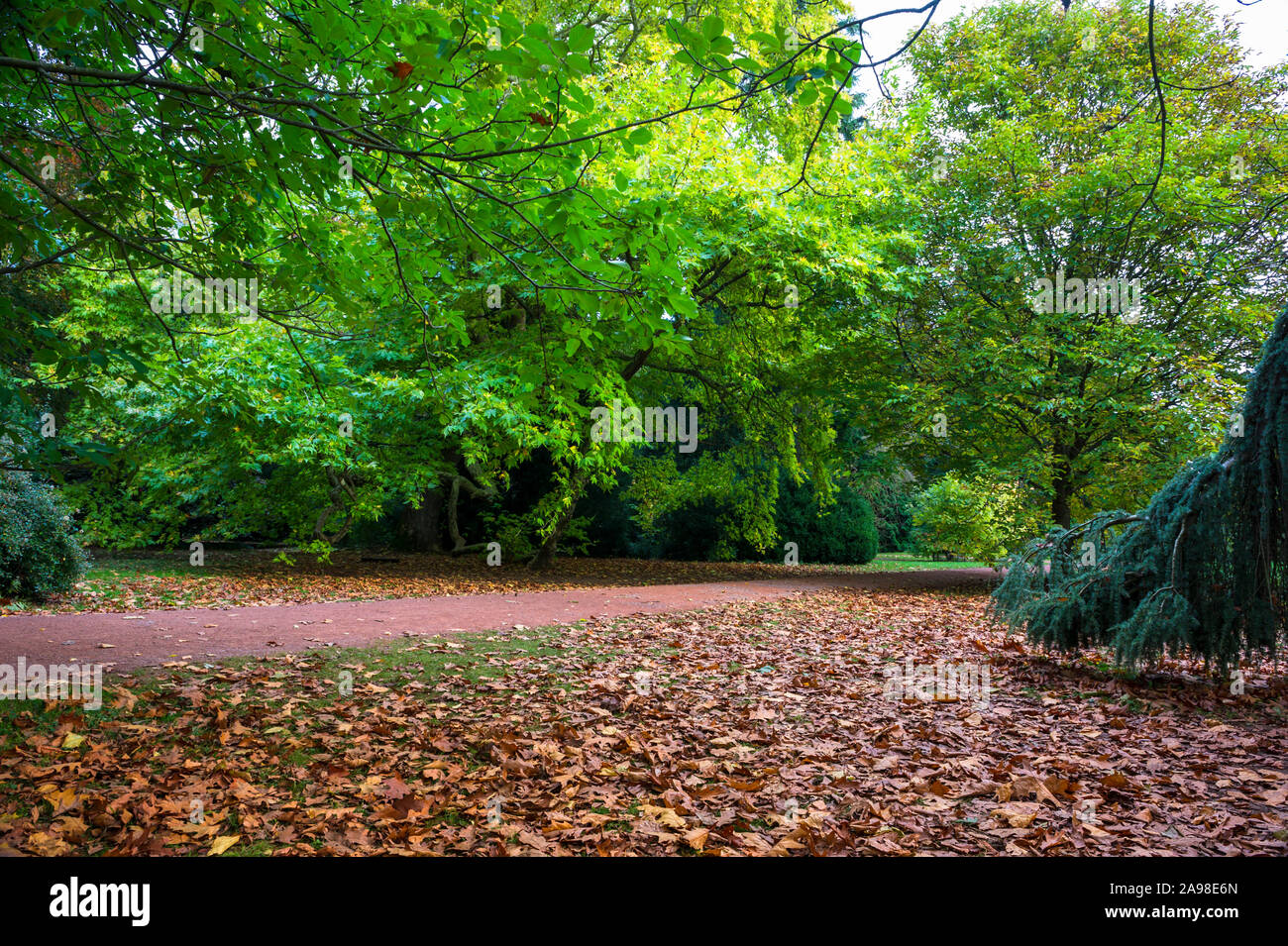 Autumn colours at Westonbirt, The National Arboretum,Gloucestershire ...