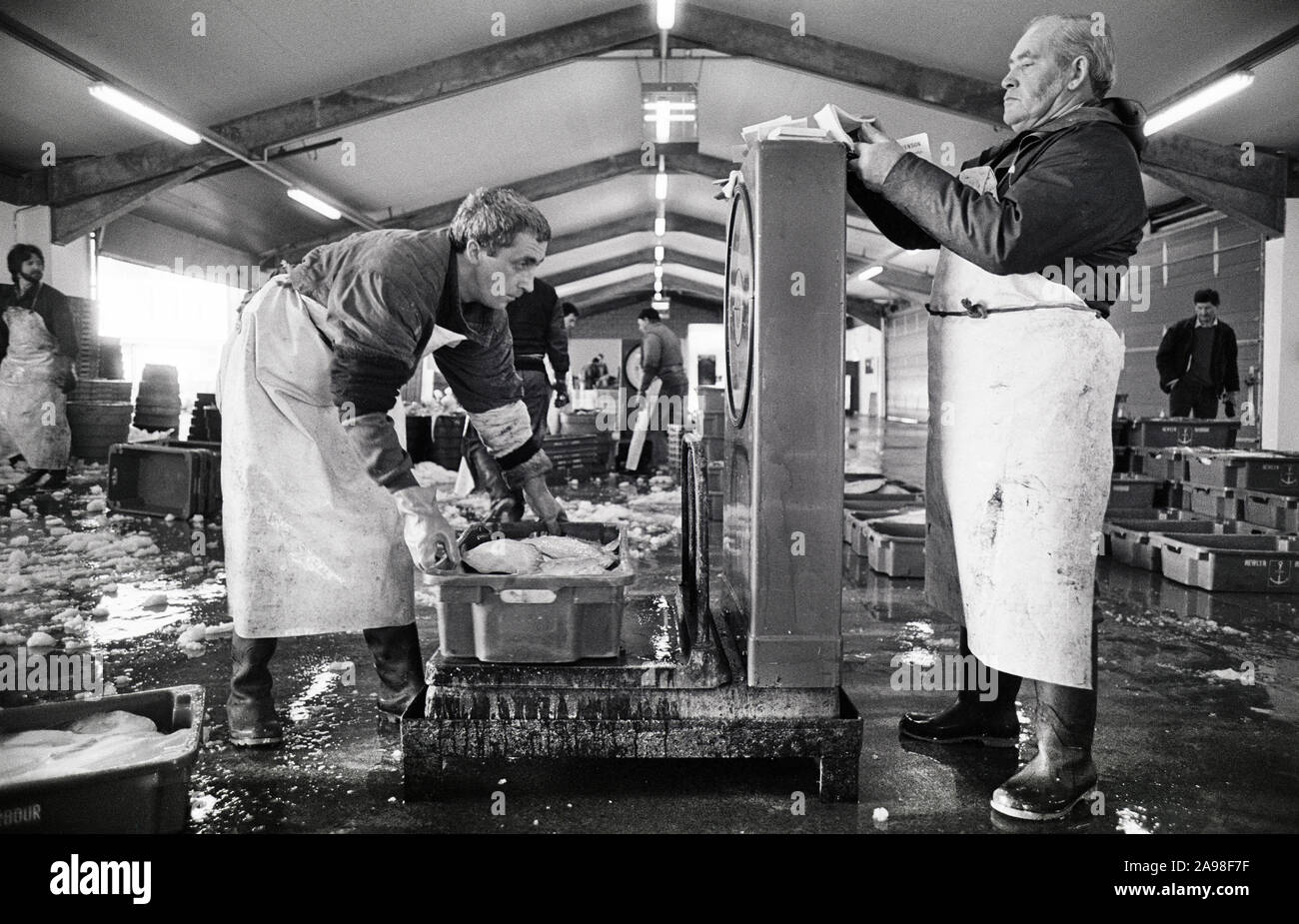Newlyn fish market hi-res stock photography and images - Alamy