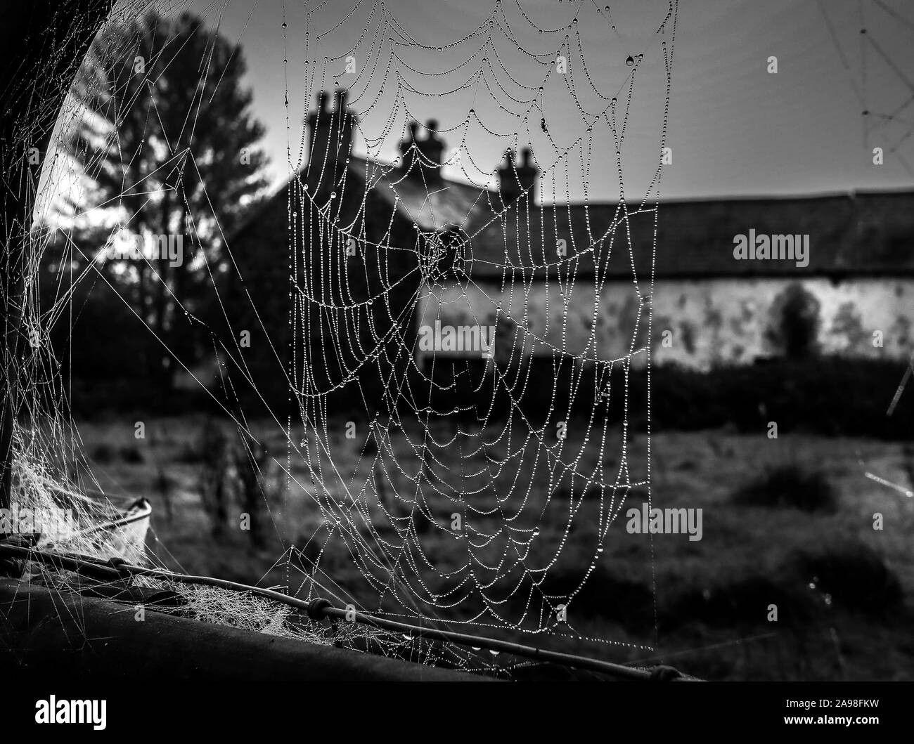 Lough Neagh Northern Ireland Stock Photo - Alamy