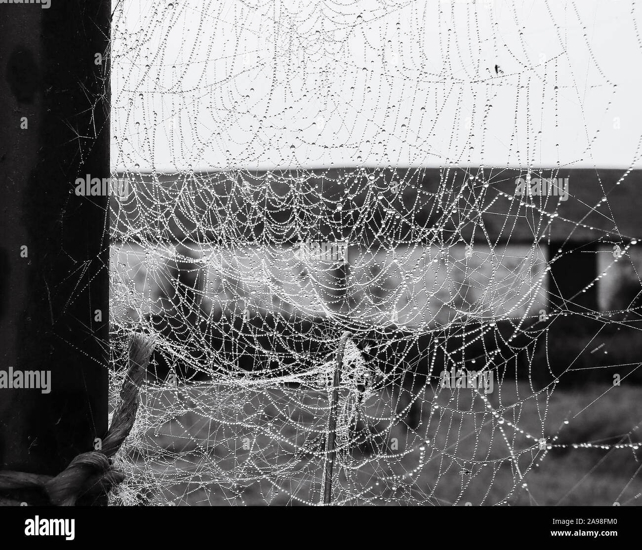 The crumlin river hi-res stock photography and images - Alamy