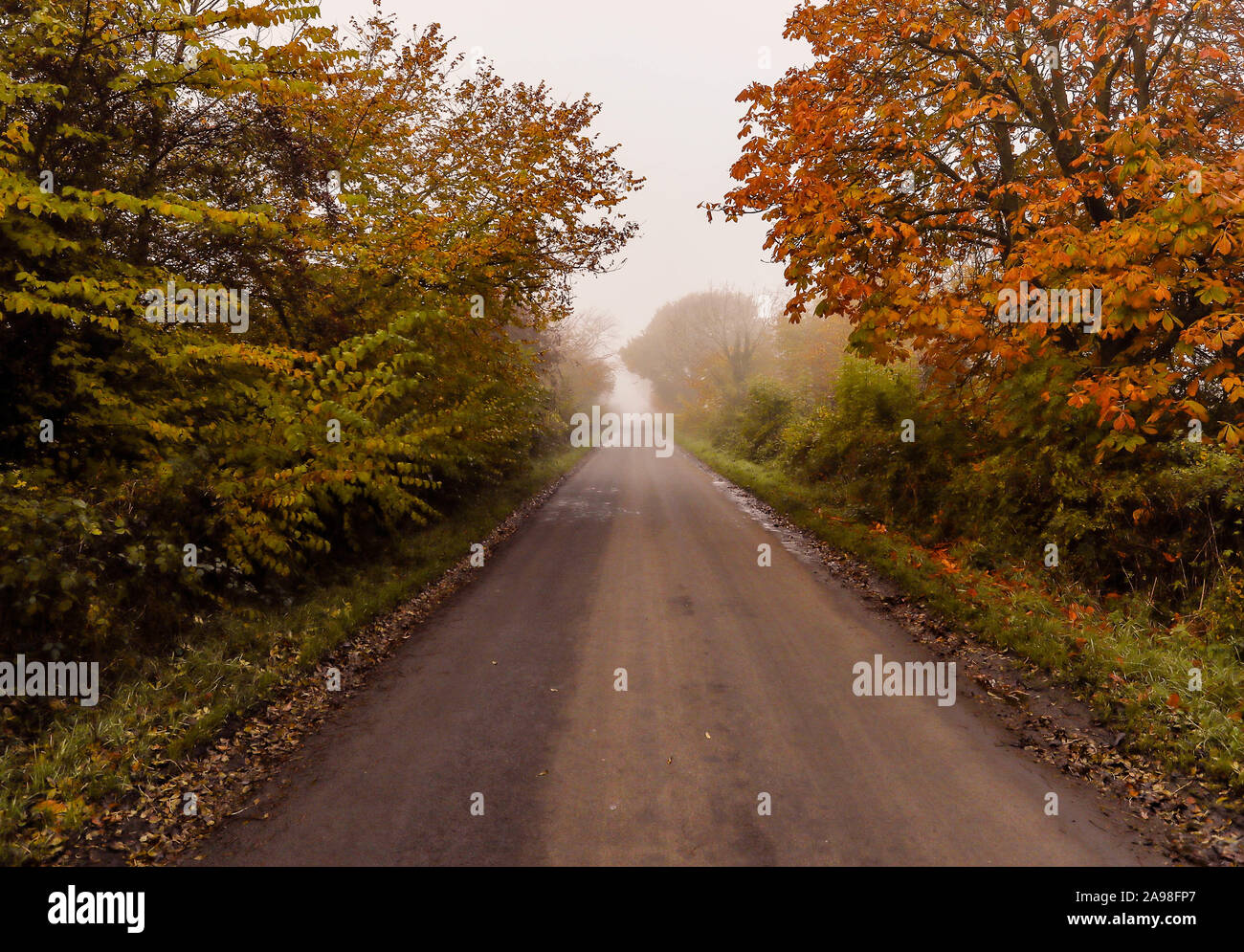 Walk lough neagh hi-res stock photography and images - Alamy