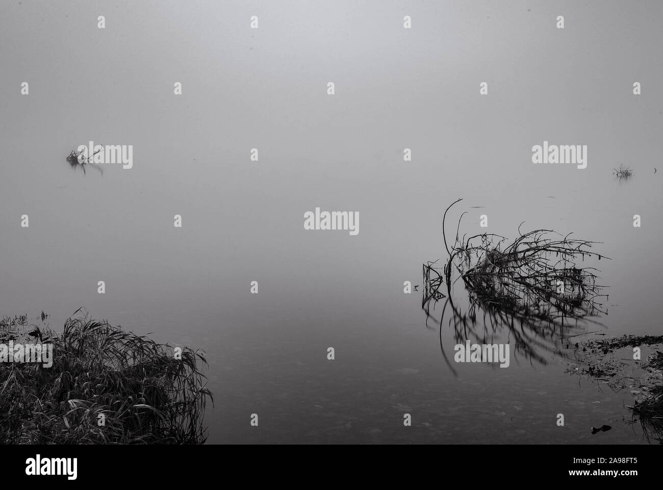Walk lough neagh hi-res stock photography and images - Alamy