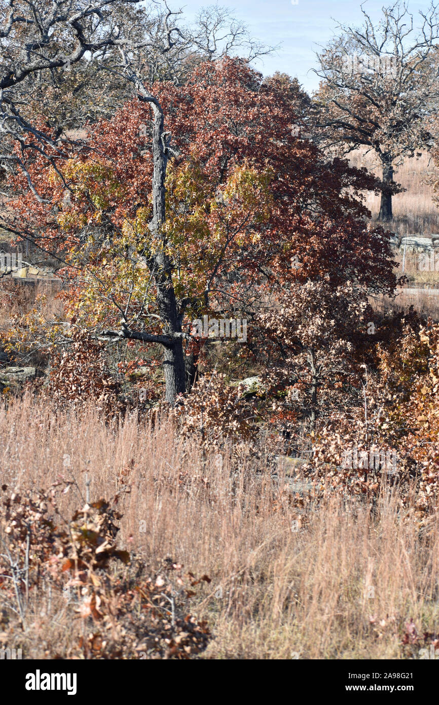 Woolaroc ranch hi-res stock photography and images - Alamy