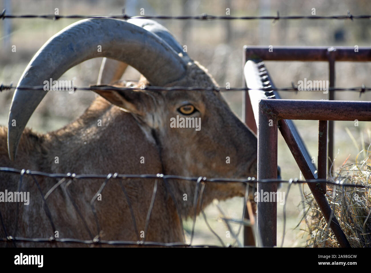 Woolaroc ranch hi-res stock photography and images - Alamy