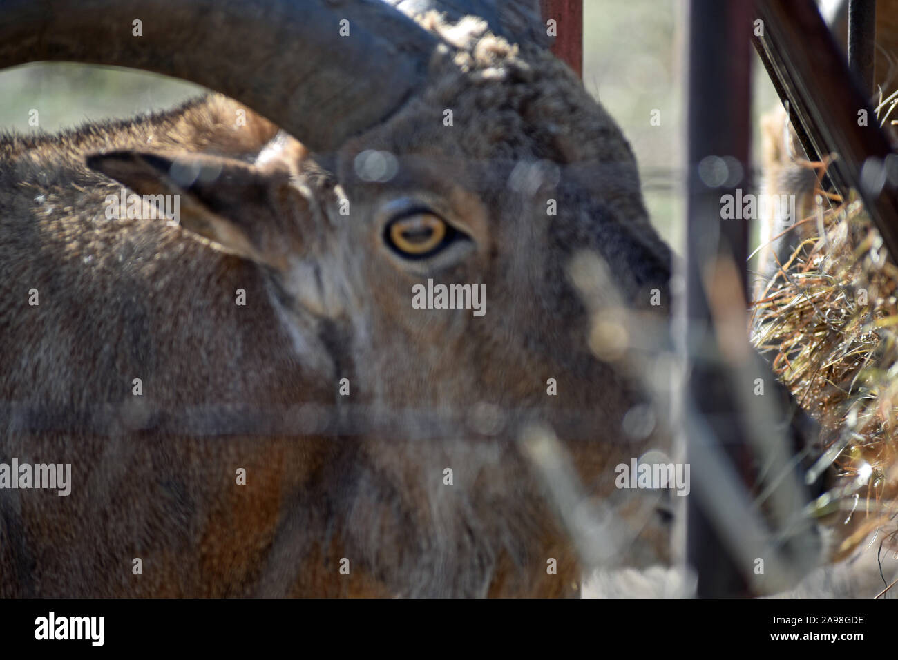 Woolaroc ranch hi-res stock photography and images - Alamy