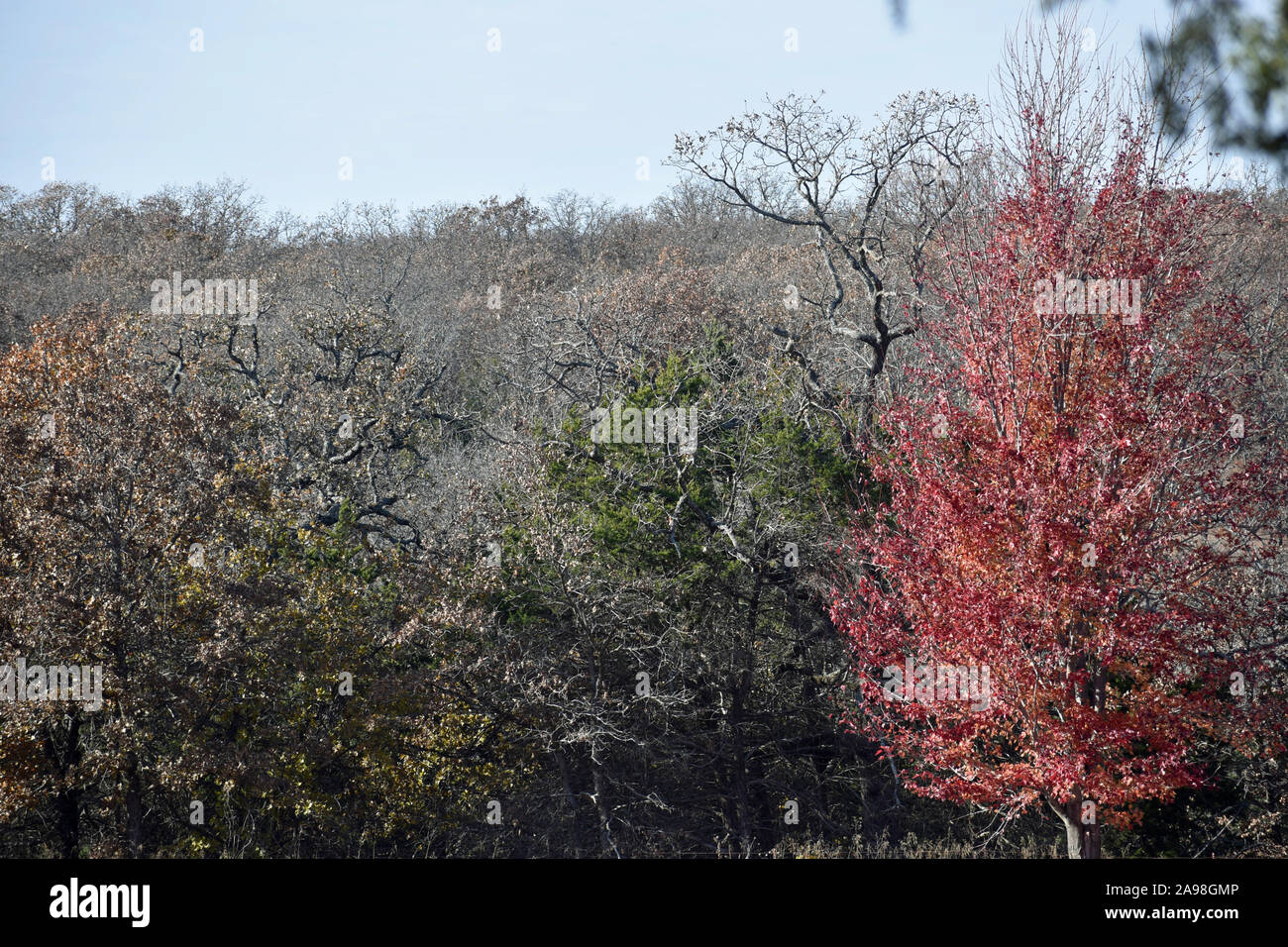 Woolaroc ranch hi-res stock photography and images - Alamy