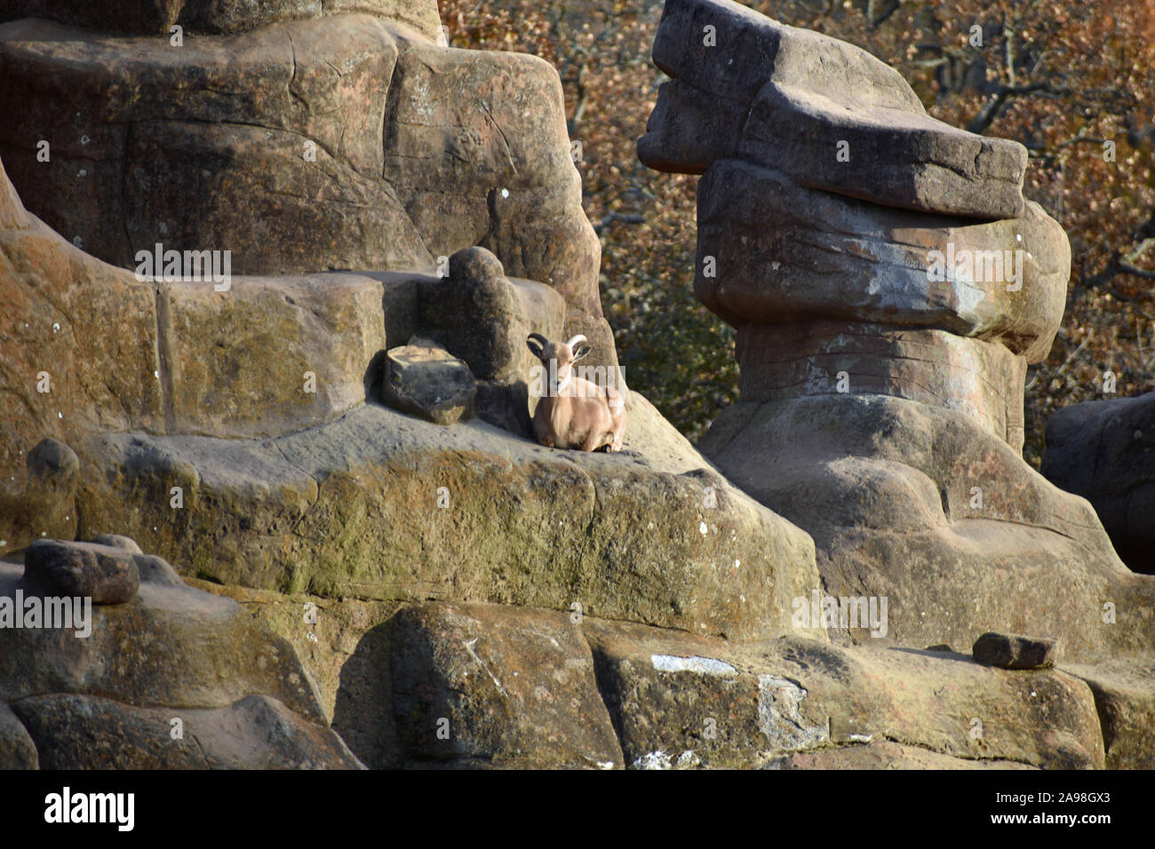 Woolaroc ranch hi-res stock photography and images - Alamy