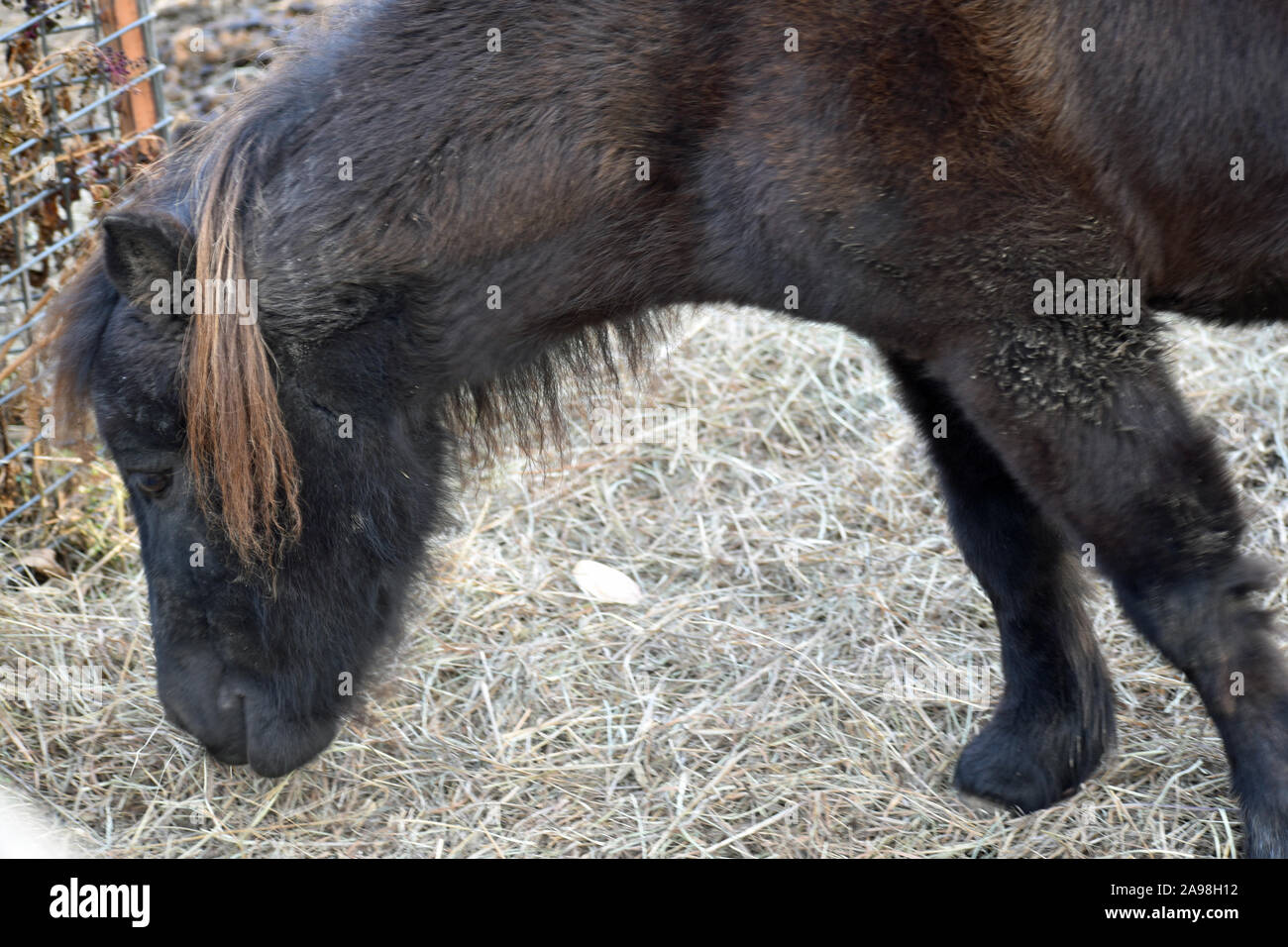 Woolaroc ranch hi-res stock photography and images - Alamy