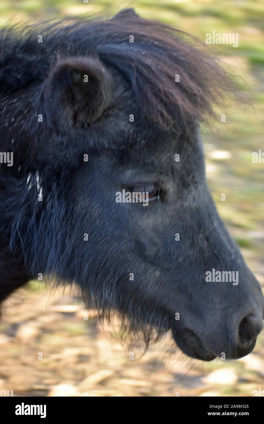 Woolaroc ranch hi-res stock photography and images - Alamy