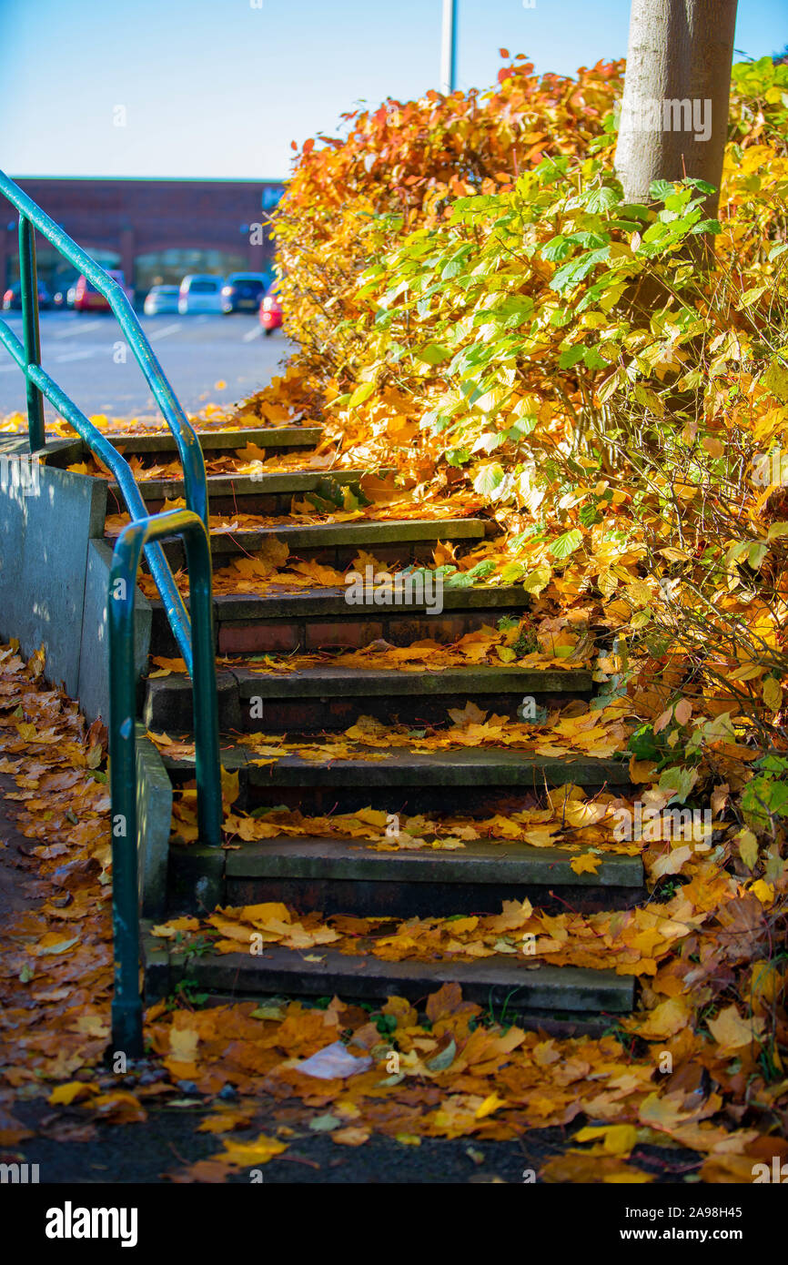 Fallen leaves making steps dangerous in Stockton Heath, Cheshire ...