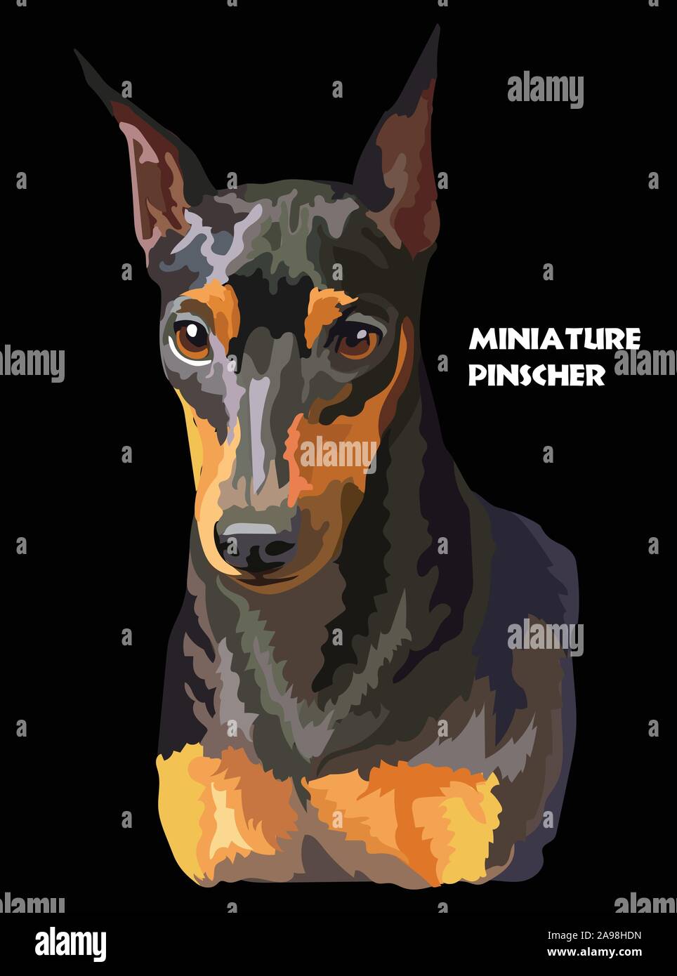 Colored portrait of Miniature Pinscher isolated vector realistic ...