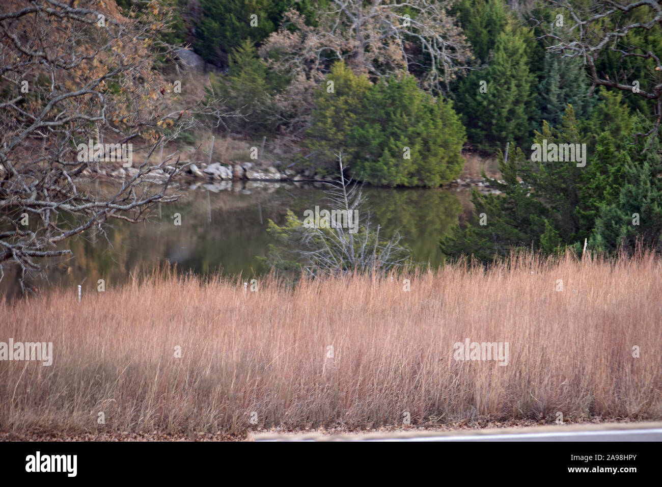 Landscape view of a Ranch with Pond Stock Photo - Alamy