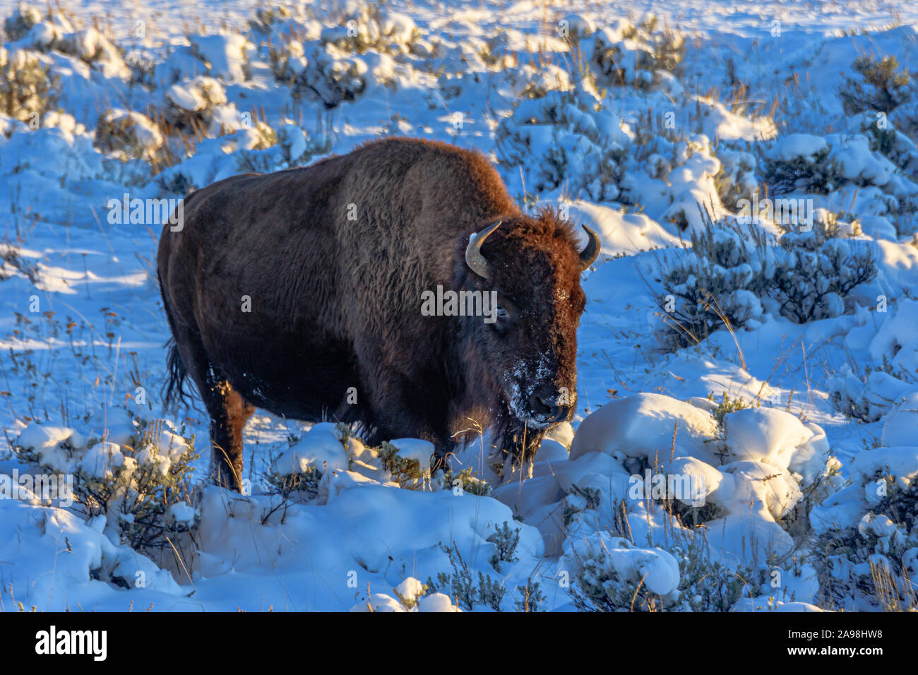 Storm 1 hi-res stock photography and images - Alamy