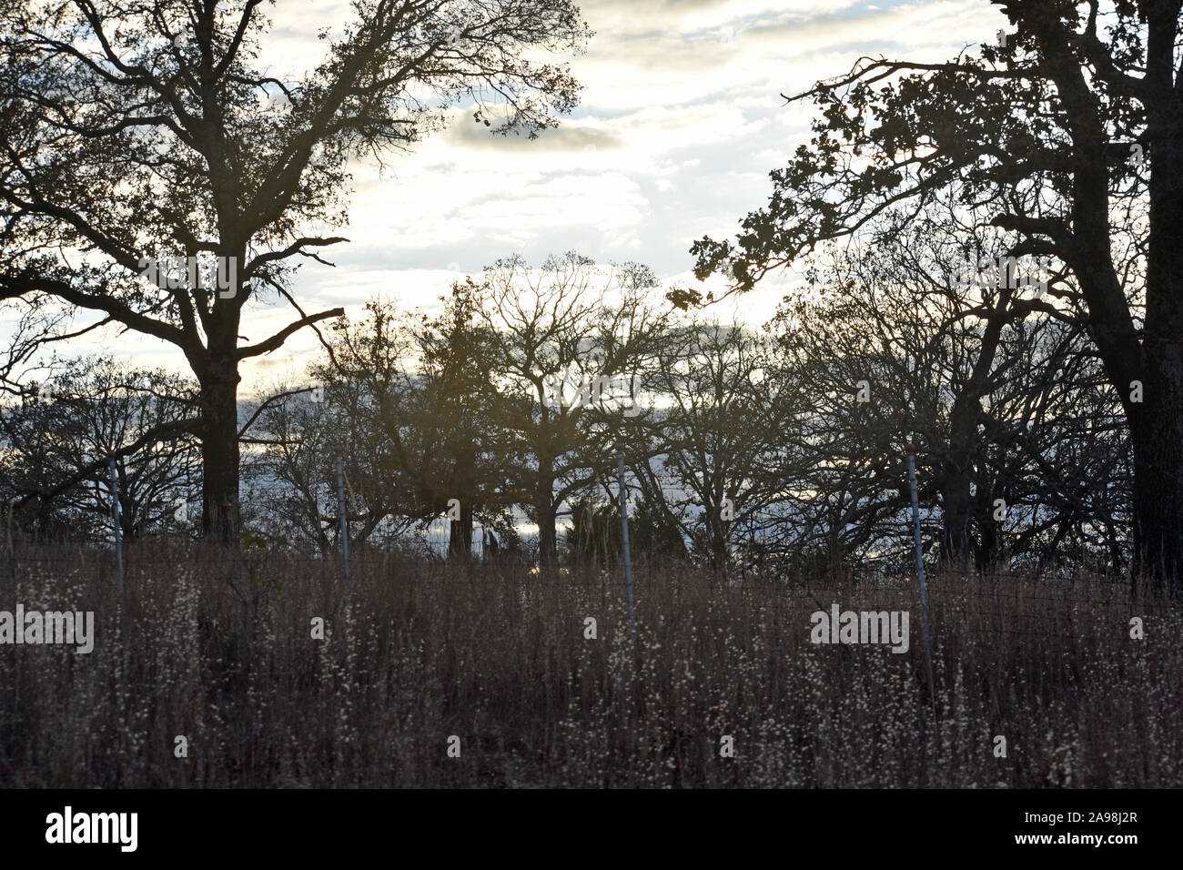 Woolaroc ranch hi-res stock photography and images - Alamy