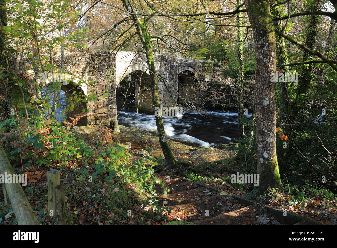 Newbridge, Dartmoor, England, UK Stock Photo - Alamy