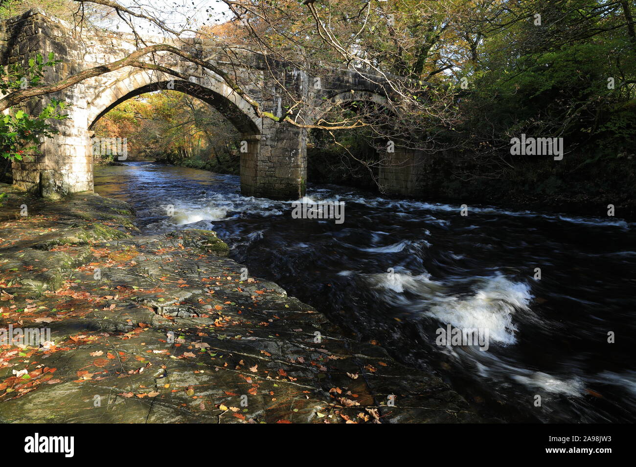Newbridge dartmoor hi-res stock photography and images - Alamy