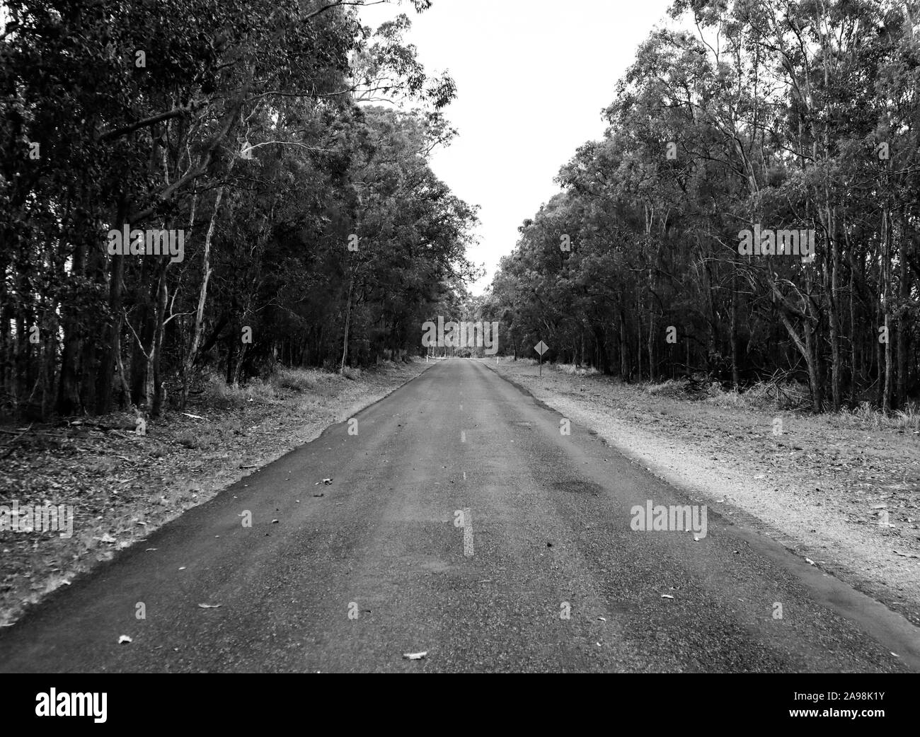 Lonely empty road hi-res stock photography and images - Alamy