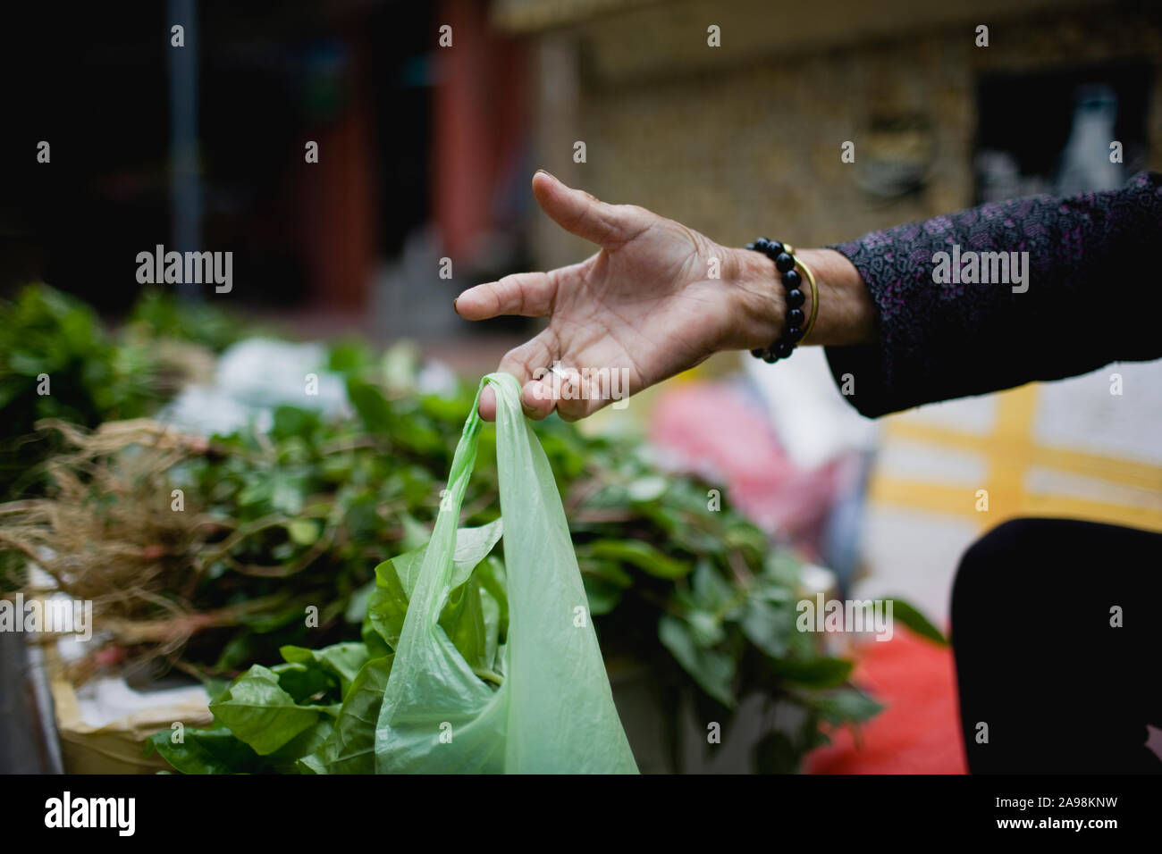 Woman's hand holding a green plastic bag filled with fresh vegetables ...