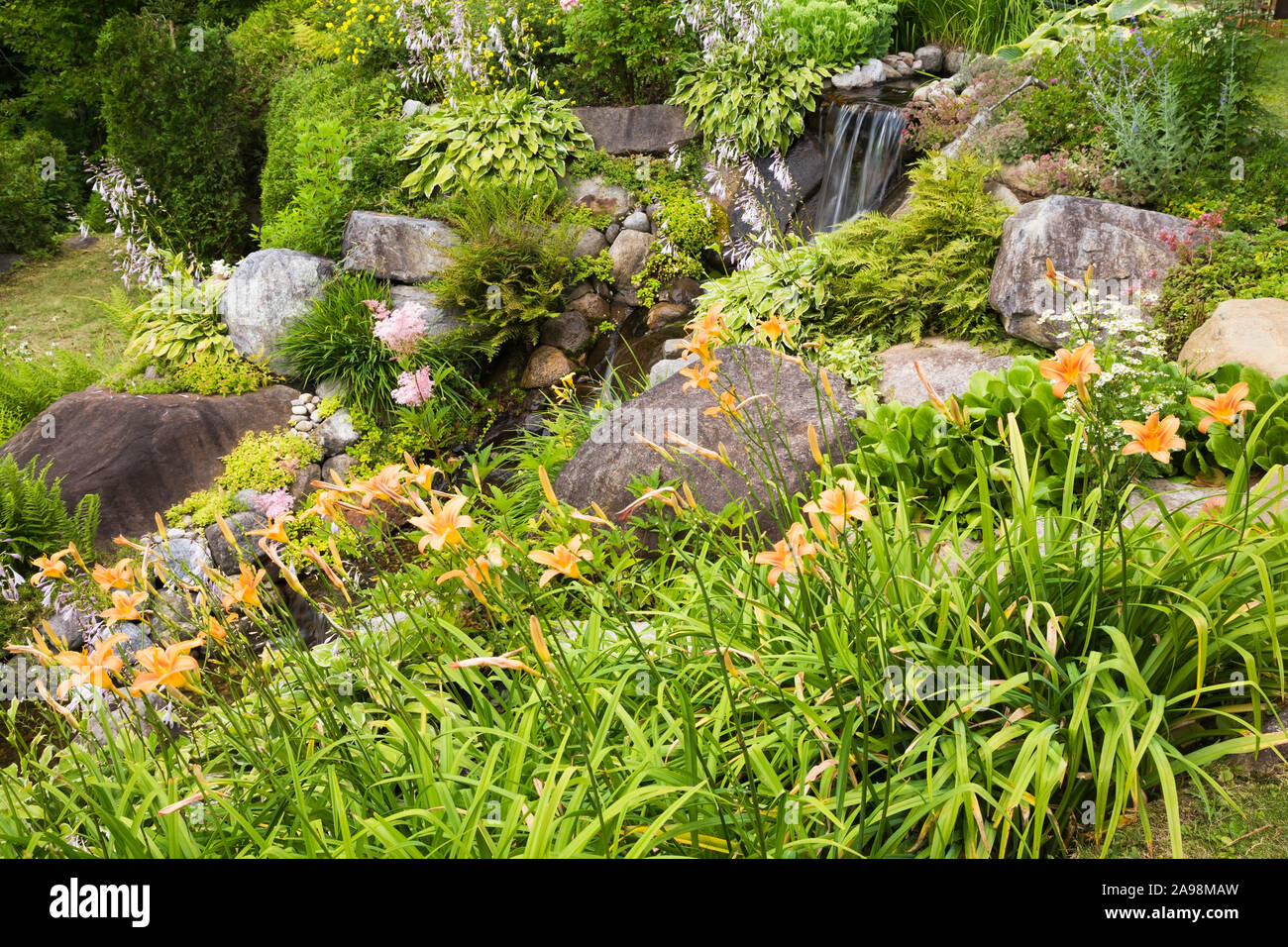 Cascading waterfall and rock edged stream bordered by pink Astilbe ...