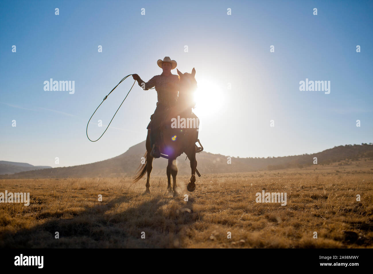 Rancher holding a lasso while riding a horse Stock Photo - Alamy