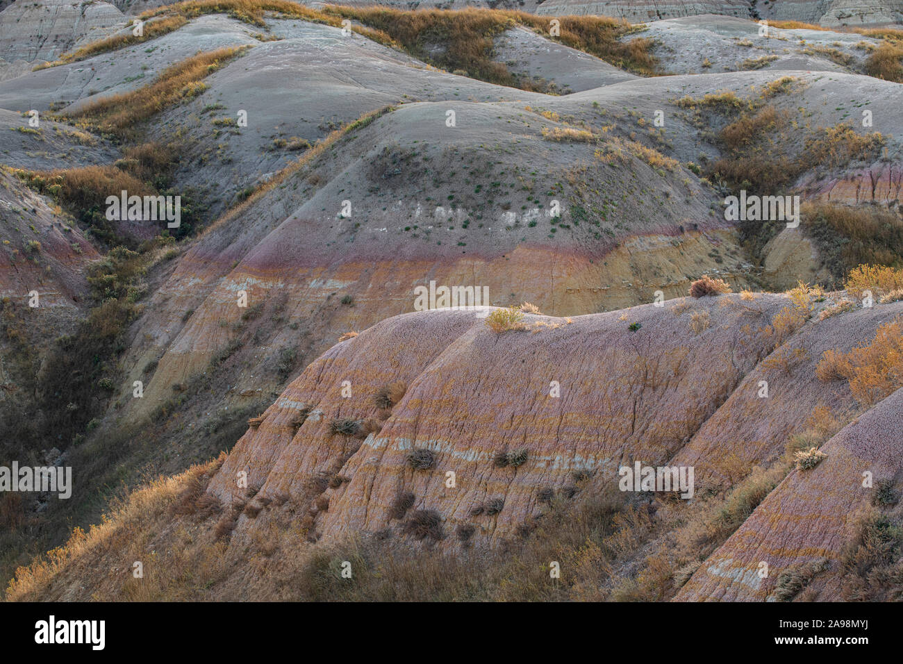 Yellow Mounds, Yellow Mounds Overlook, Badlands National Park, S ...
