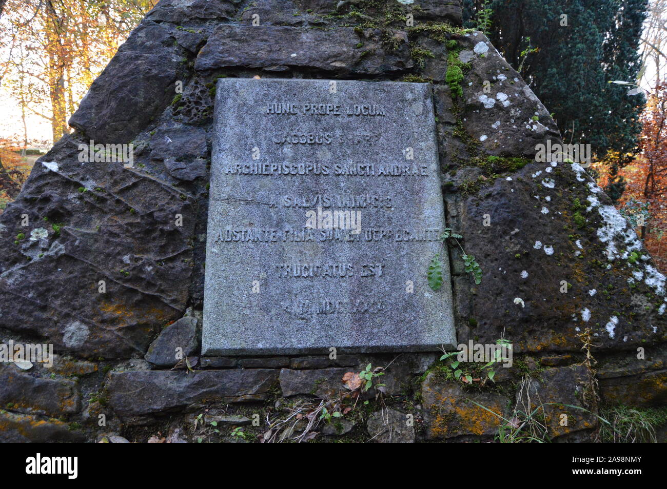 James muir hi-res stock photography and images - Alamy