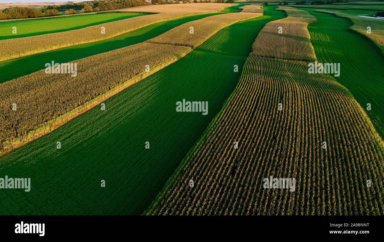 Aerial view of rural farmland and rolling countryside at sunset with ...
