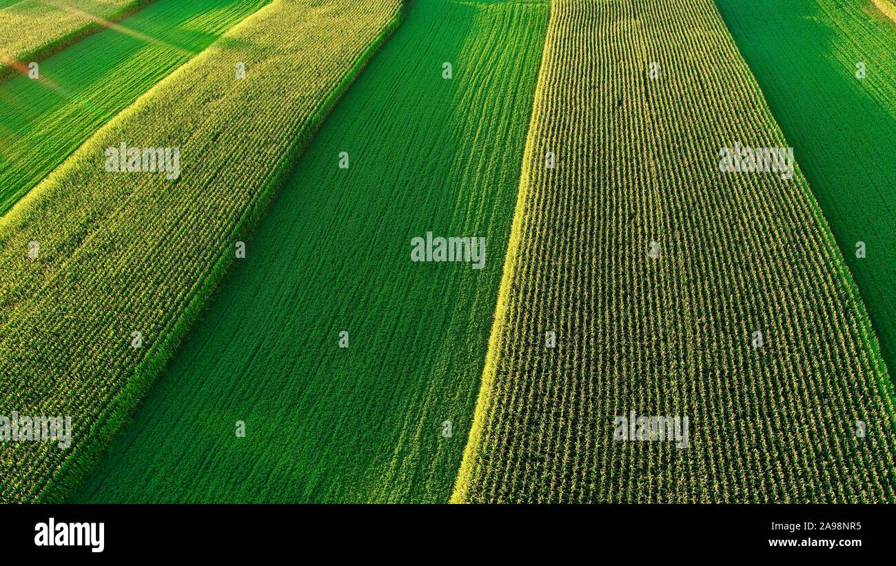 Aerial view of rural farmland and rolling countryside at sunset with ...