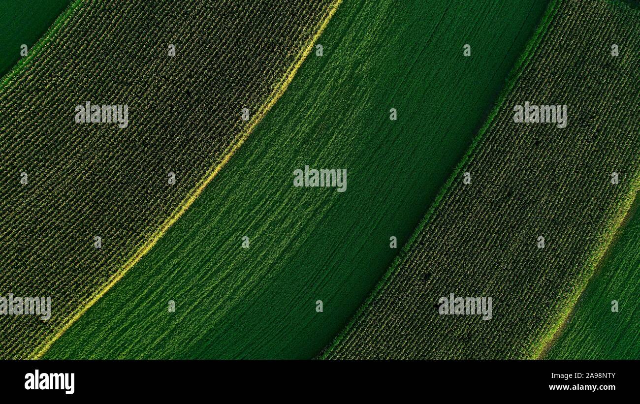 Aerial view of rural farmland and rolling countryside at sunset with ...