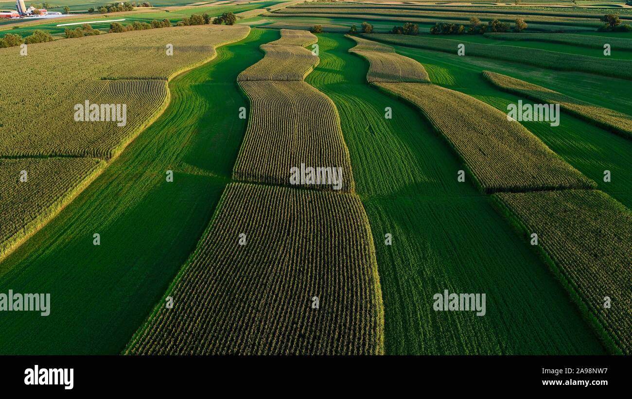 Aerial view of rural farmland and rolling countryside at sunset with ...