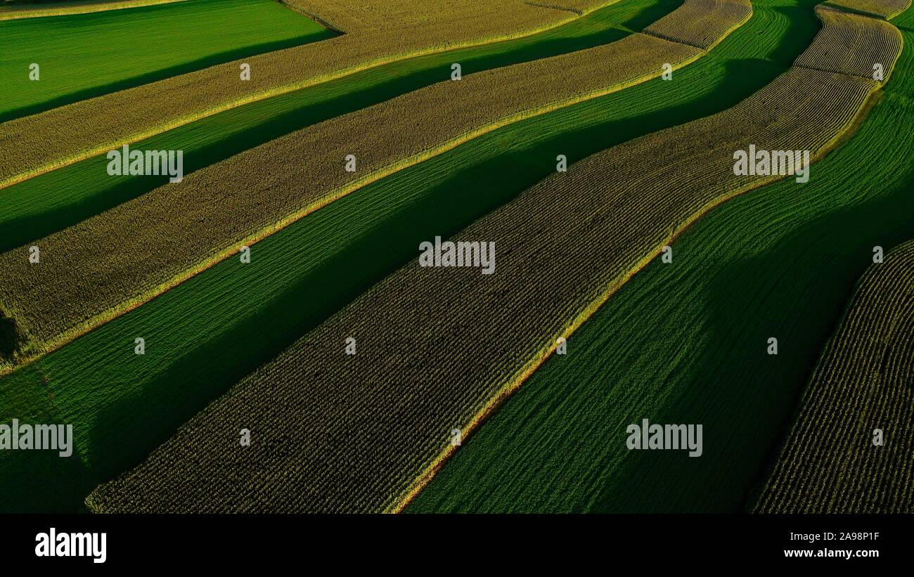 Aerial view of rural farmland and rolling countryside at sunset with ...
