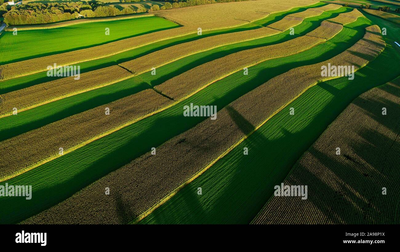 Aerial view of rural farmland and rolling countryside at sunset with ...