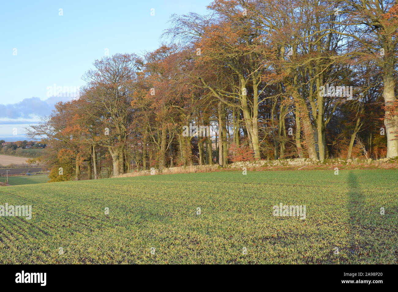 Magus muir hi-res stock photography and images - Alamy