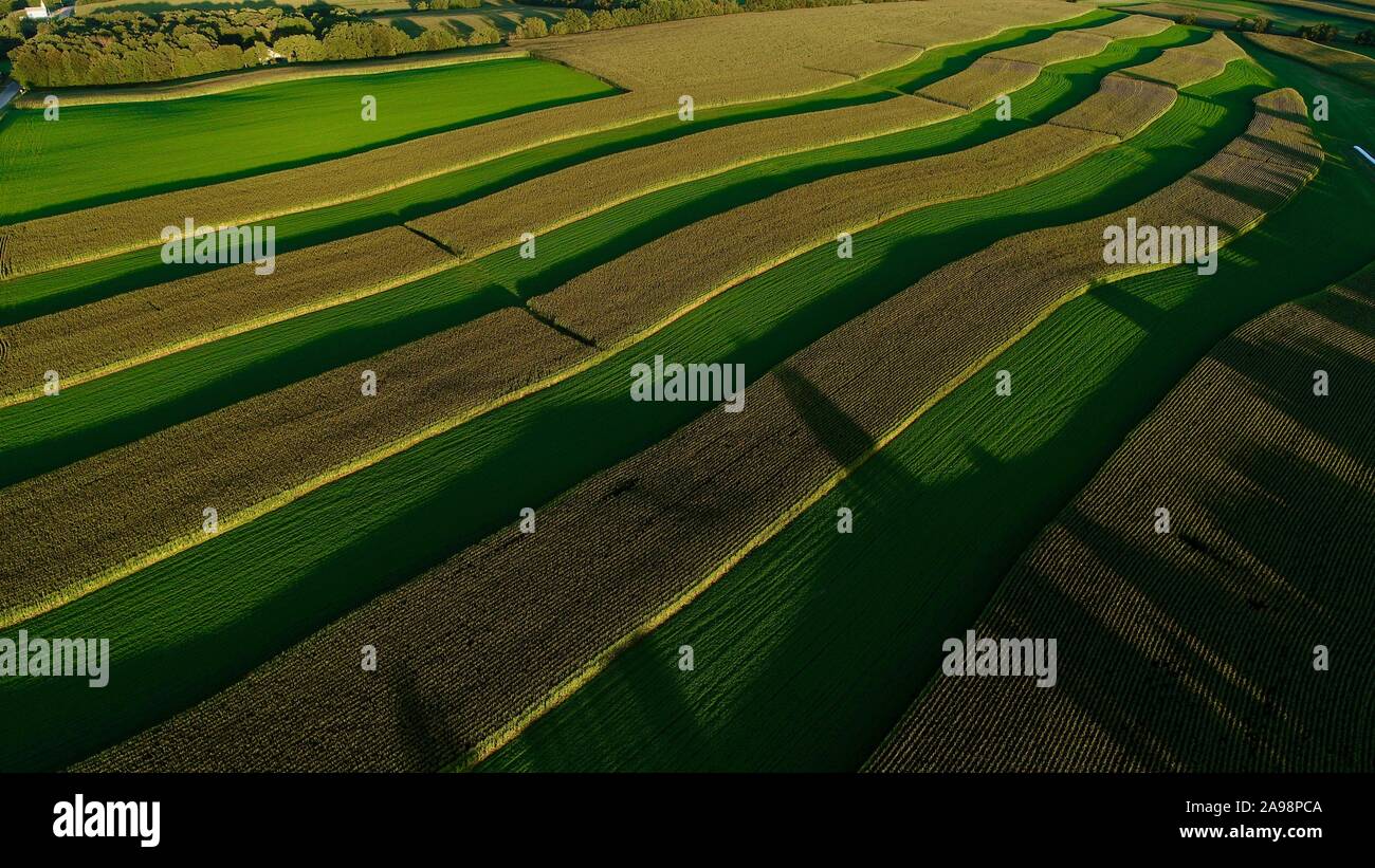Aerial field corn midwest hi-res stock photography and images - Alamy