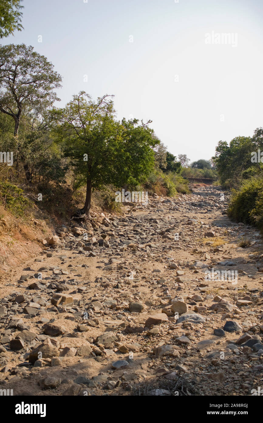 Dry riverbed with rocks and surrounding vegetation Stock Photo - Alamy