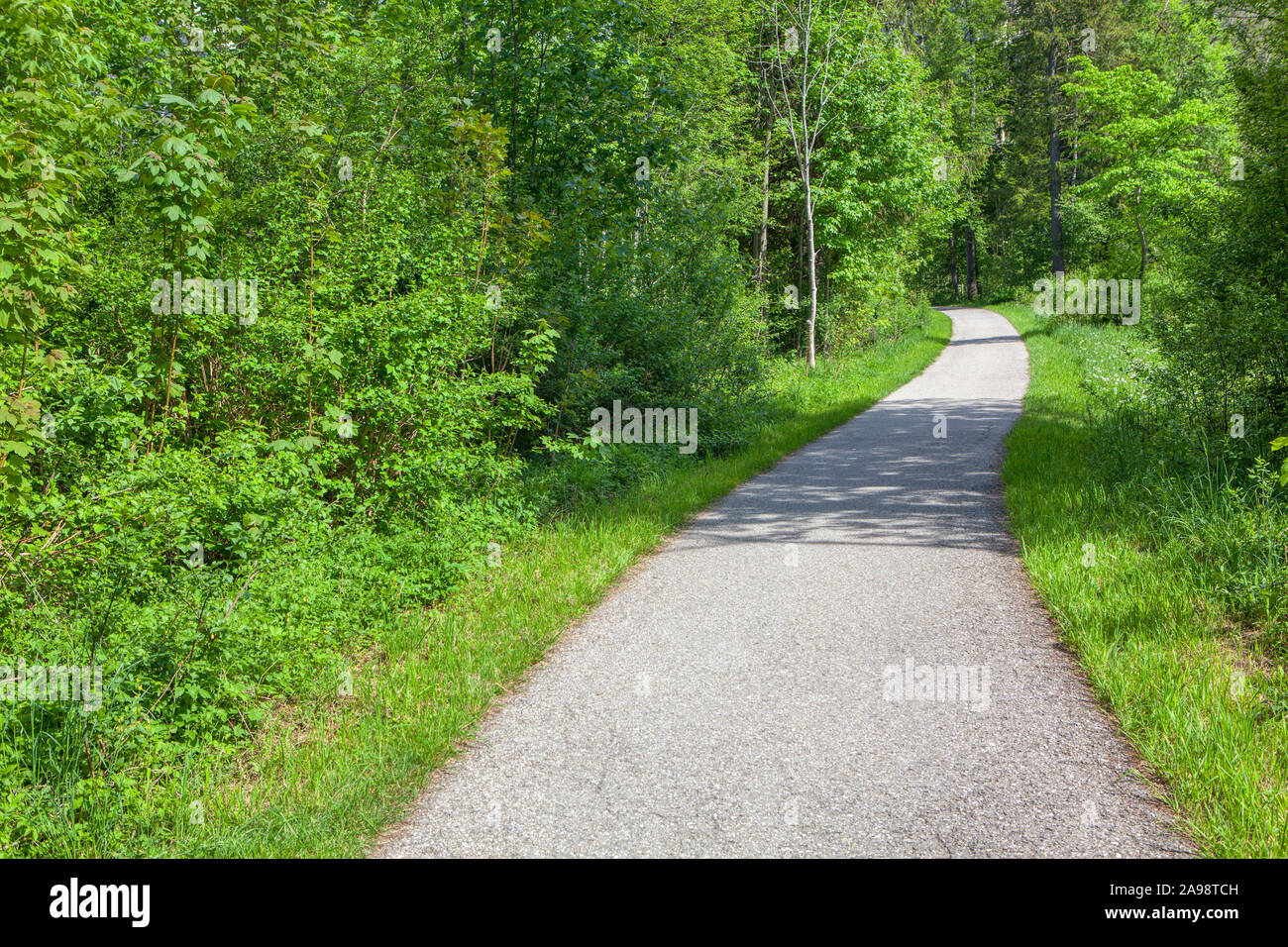 walking path in the green park Stock Photo - Alamy