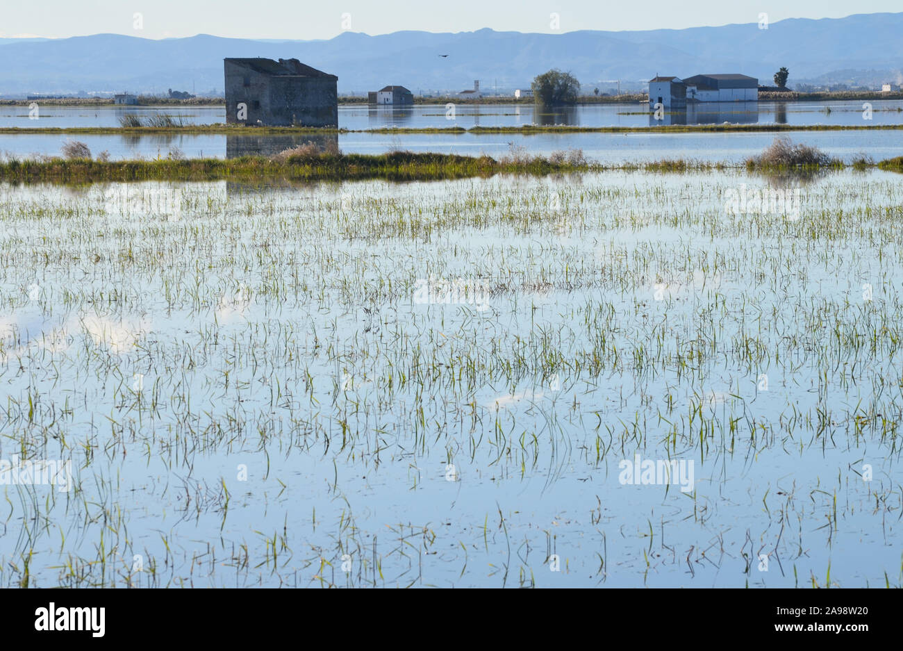 The Albufera natural park, a wetland of international importance in ...