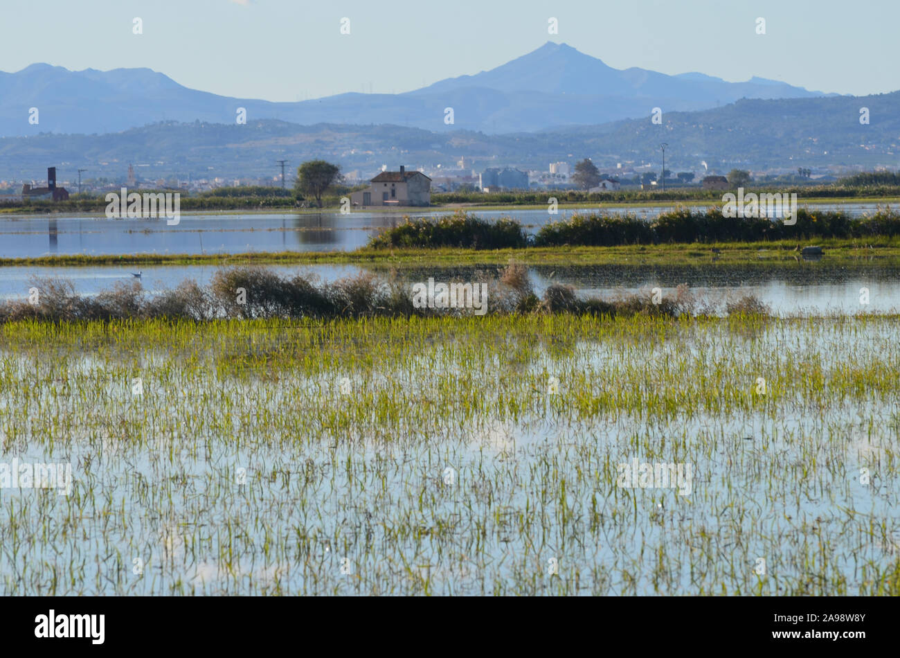 The Albufera natural park, a wetland of international importance in ...