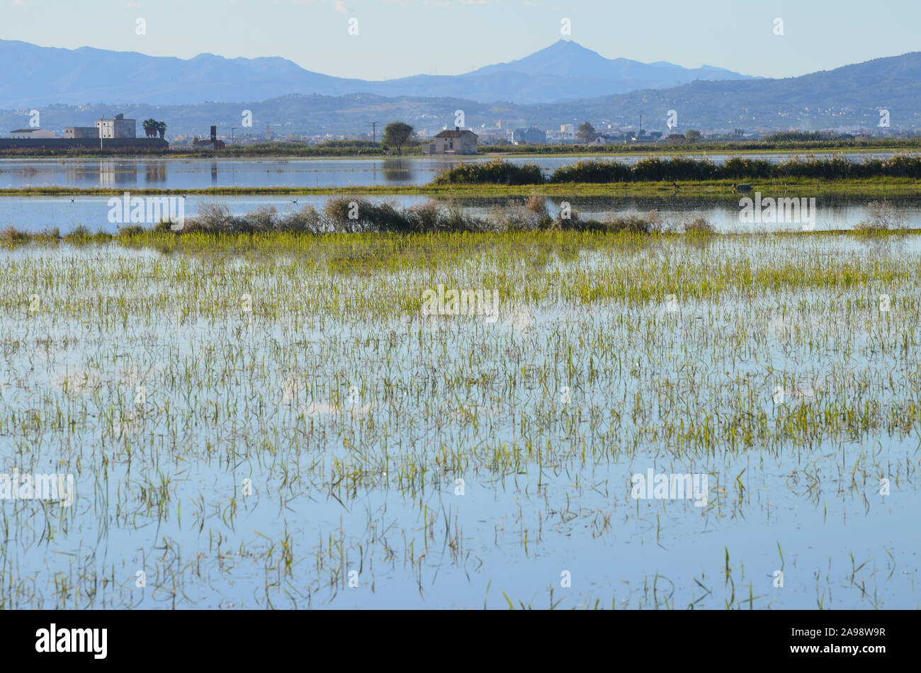 The Albufera natural park, a wetland of international importance in ...