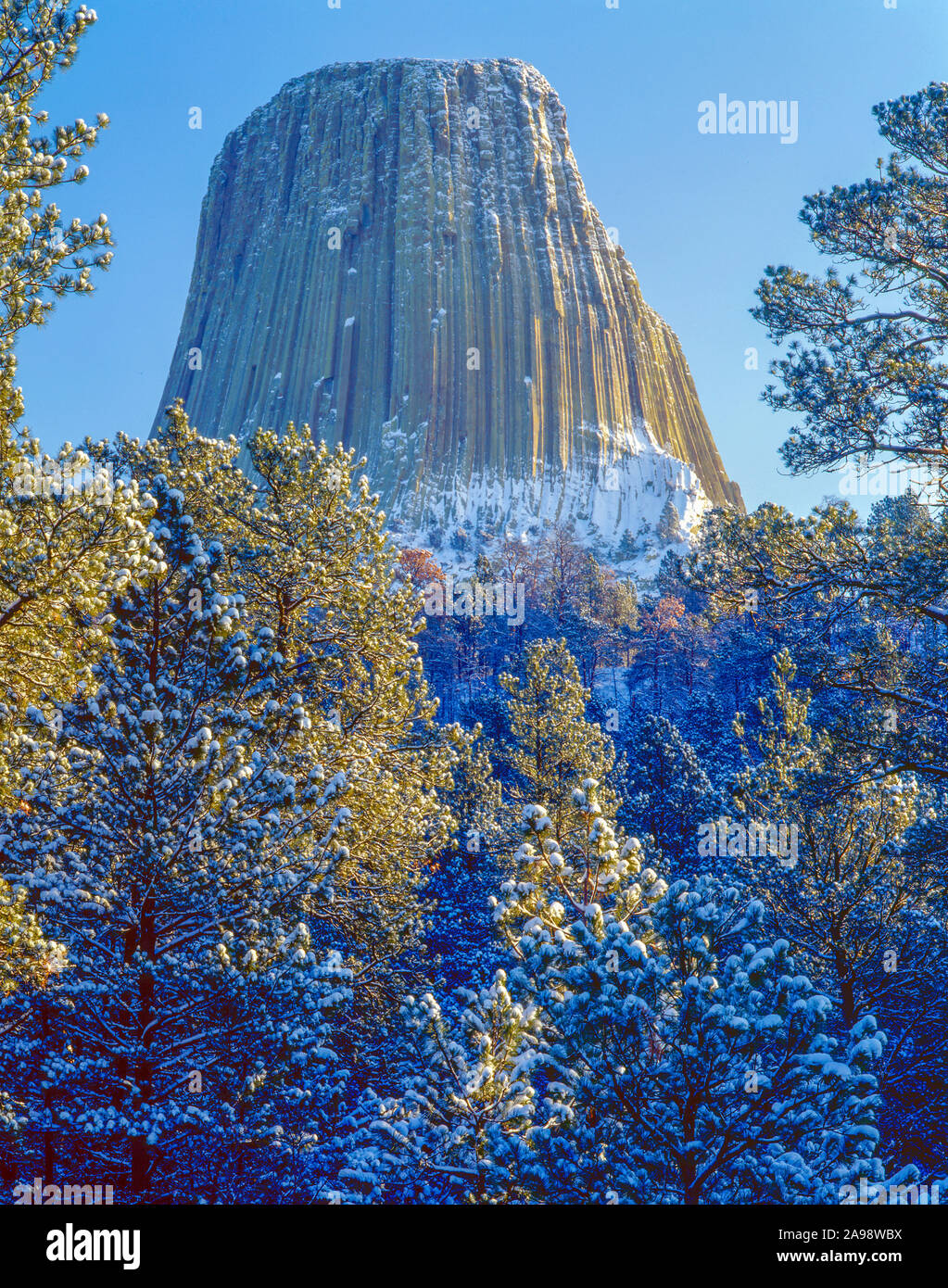 Devils Tower and fresh snow, Devils Tower National Monument, Wyoming ...