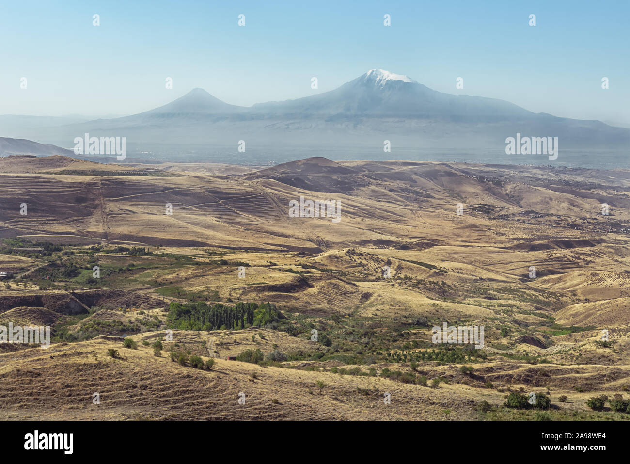 Peaks of mountain Ararat in background on yellow pale space of field ...